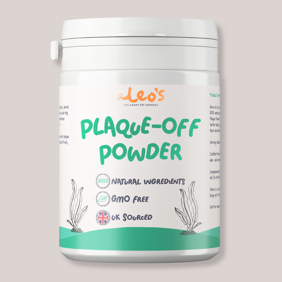 Plaque Off Powder – Leo's Natural Pet Supplements